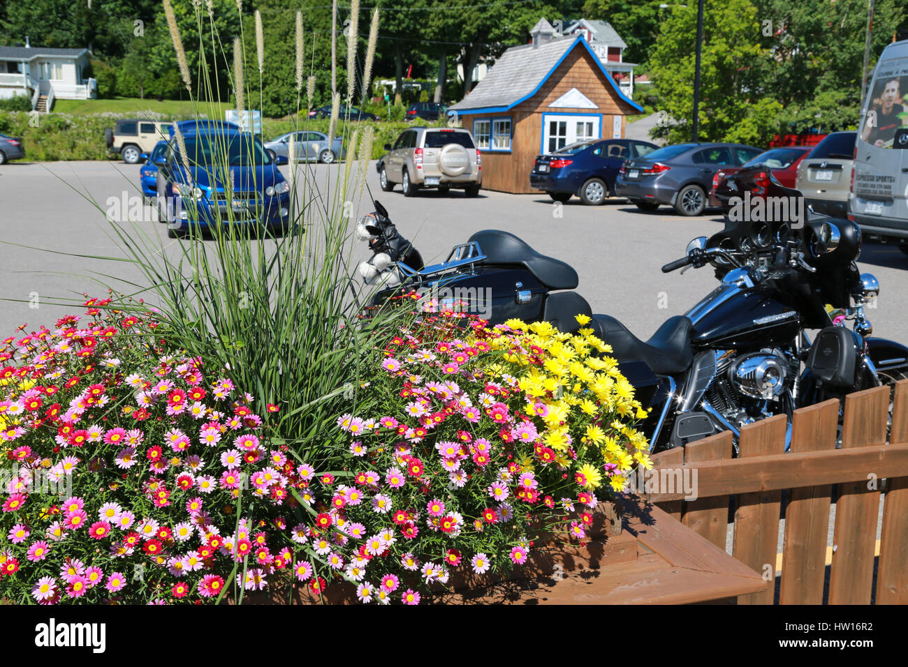 Flowers and Motorcycles on the Quai de Cap-Santé Stock Photo - Alamy