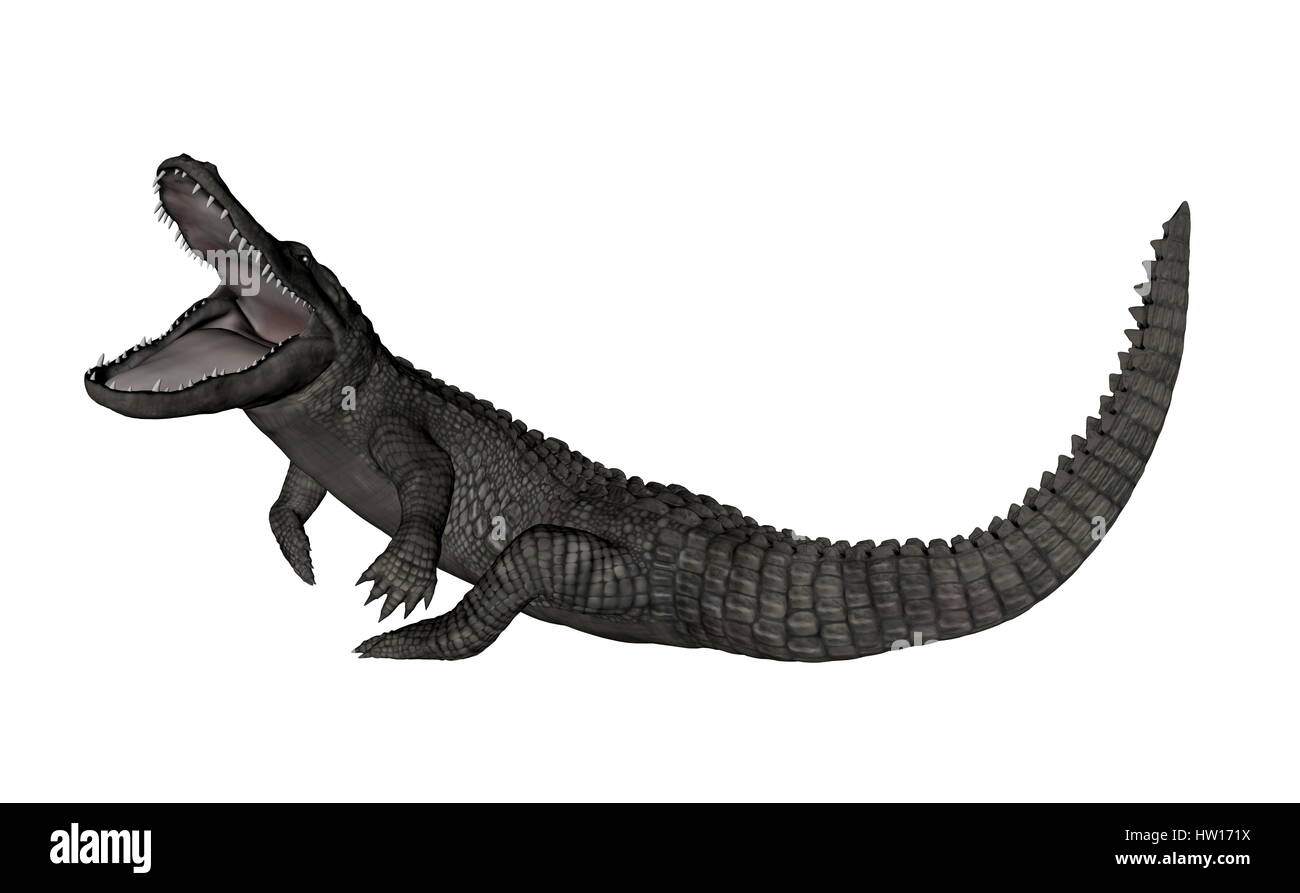 Alligator roar hi-res stock photography and images - Alamy