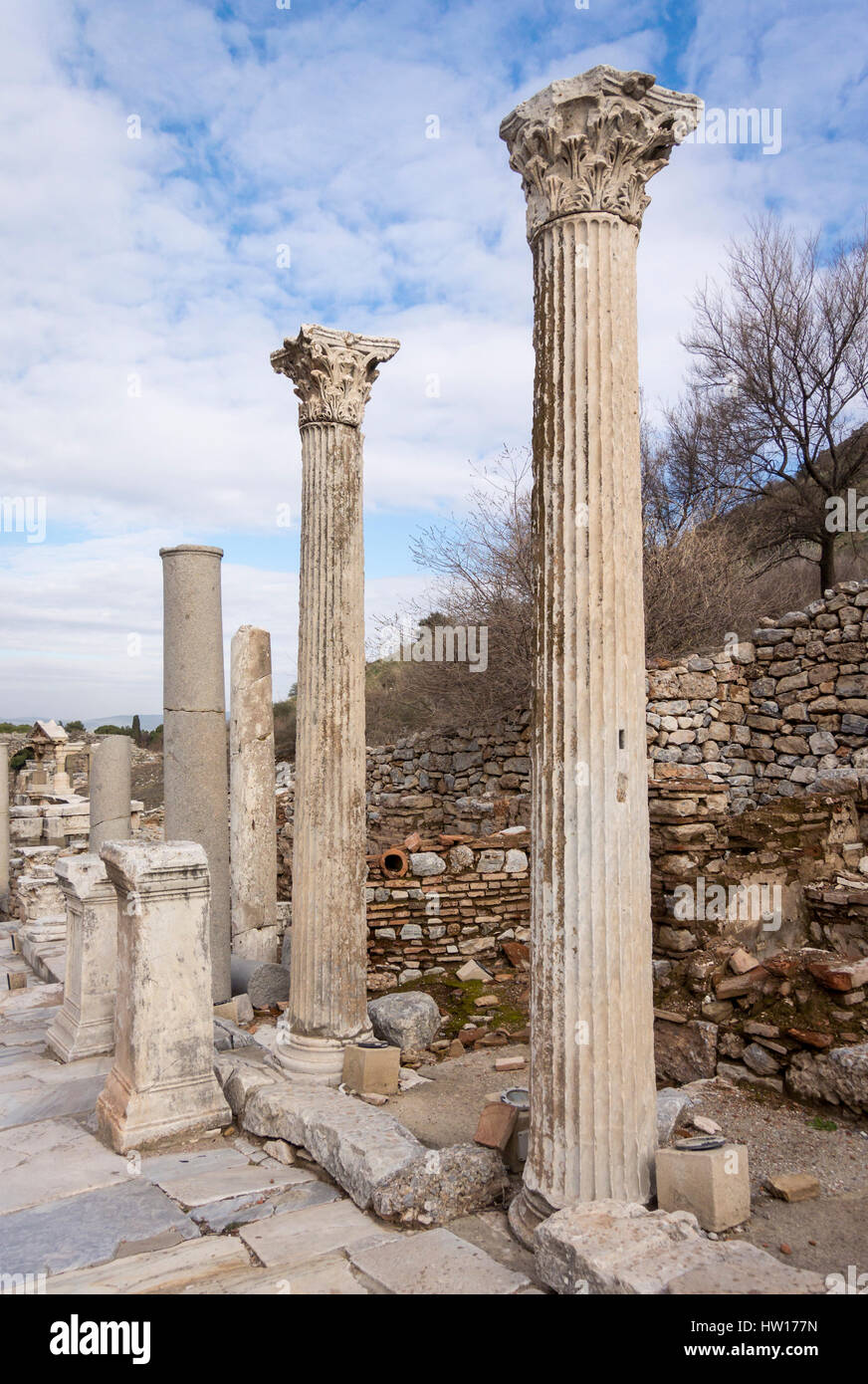 Ornate columns in the ancient city of Ephesus in Selcuk, Turkey Stock ...