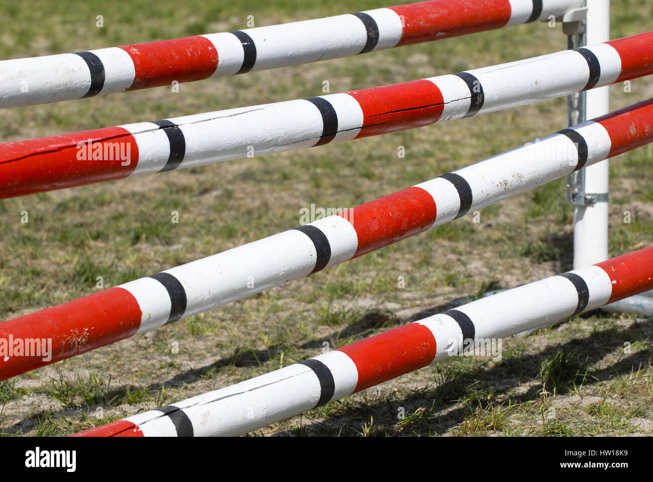 Sprungreiten hi-res stock photography and images - Alamy