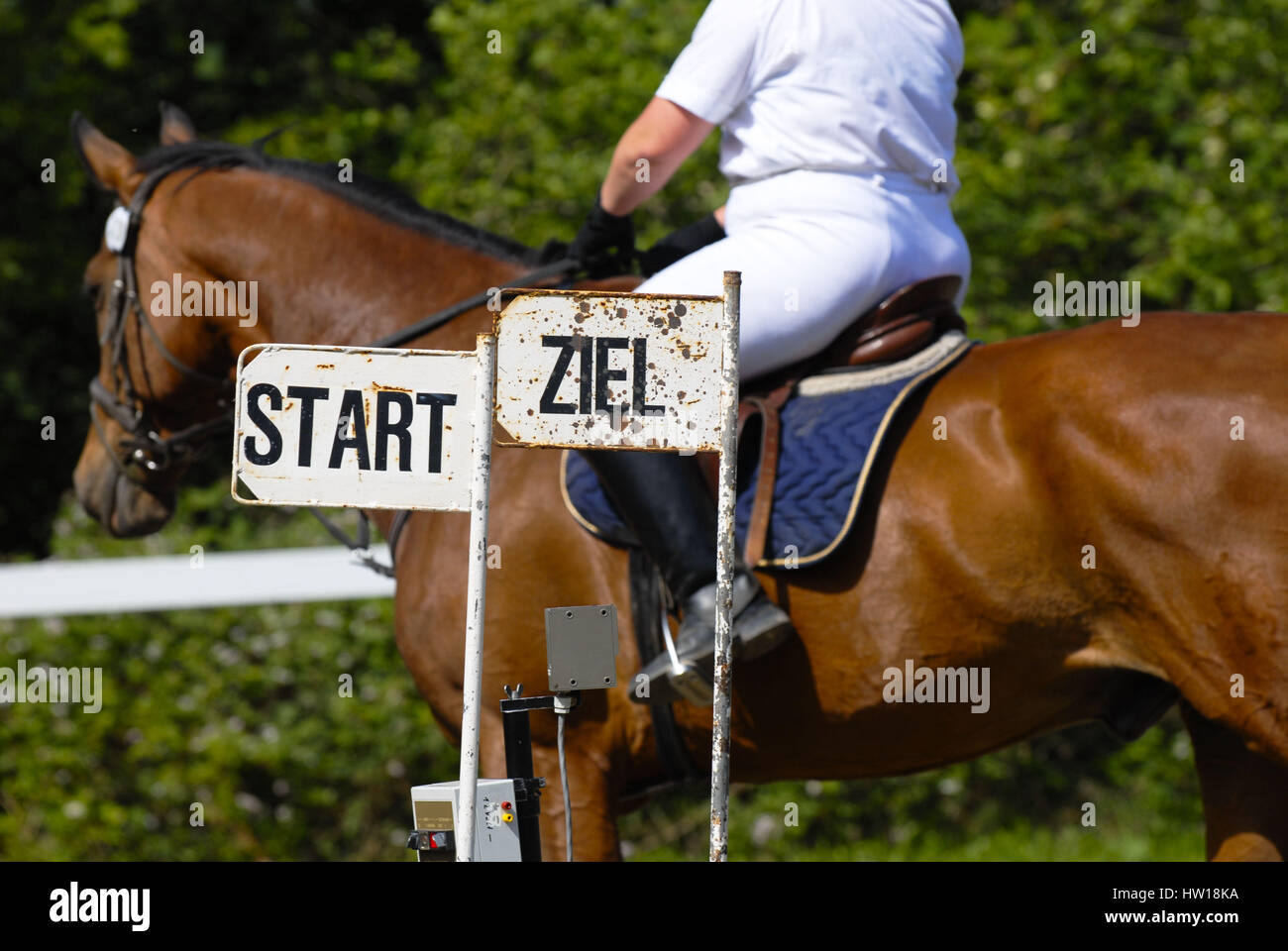 Stute reiten hi-res stock photography and images - Alamy