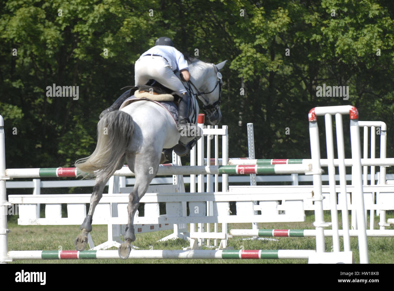 Springen springreiten hi-res stock photography and images - Alamy