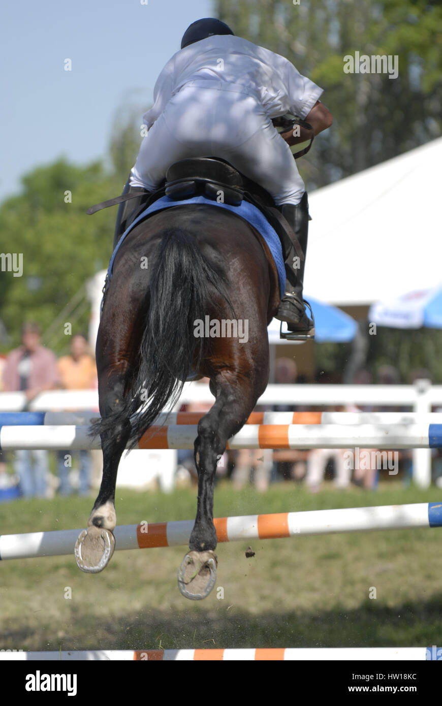 Springen springreiten hi-res stock photography and images - Alamy