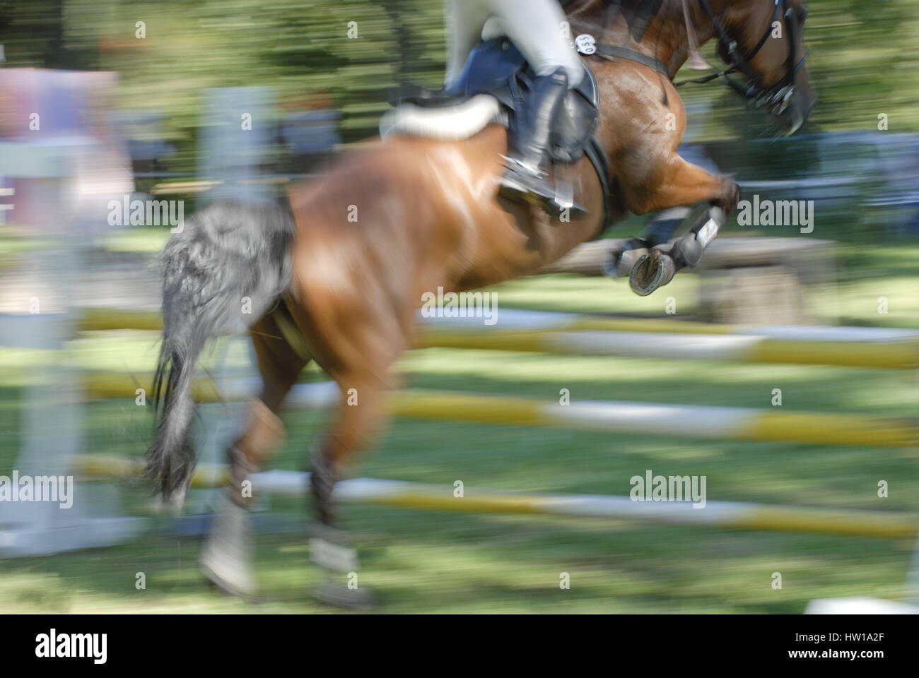 Reiten turnier hi-res stock photography and images - Alamy