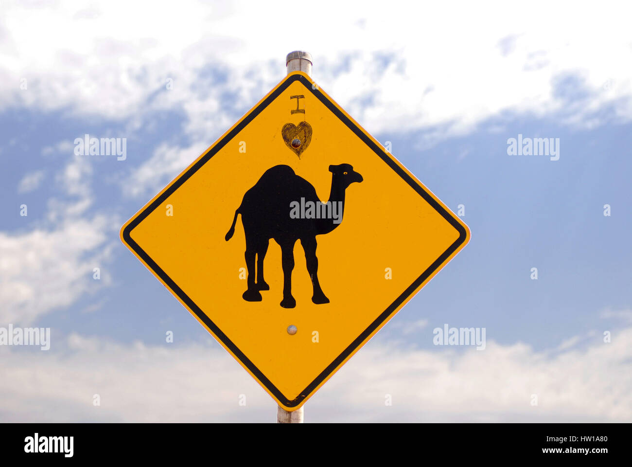 Street sign Care camel, Strassenschild Vorsicht Kamel Stock Photo - Alamy