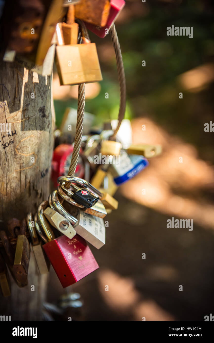 Love Locks, padlocks with names of lovers locked to a cable to show ...