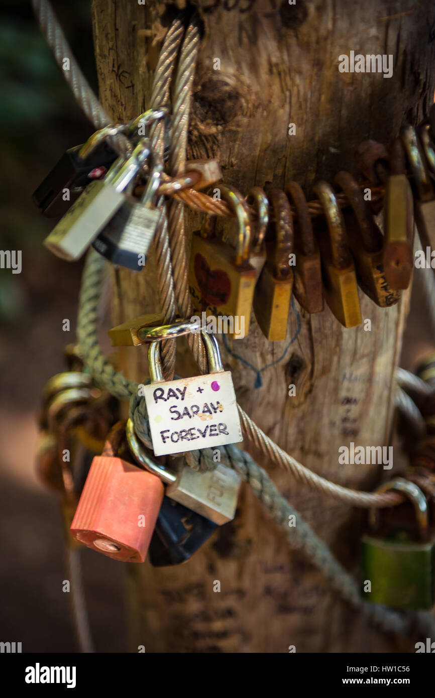 Love Locks, padlocks with names of lovers locked to a cable to show ...
