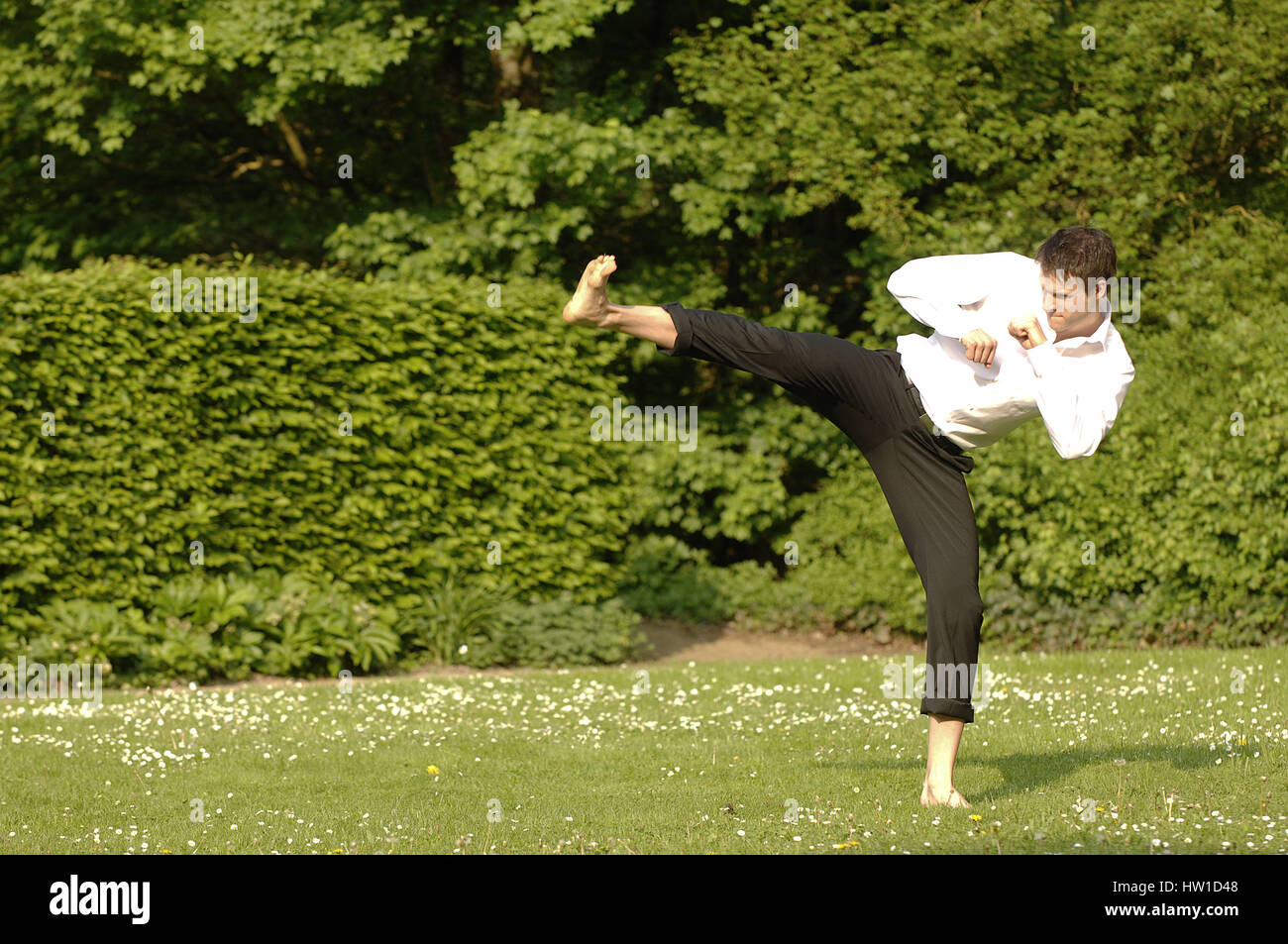 Fight art, Kampfkunst Stock Photo - Alamy