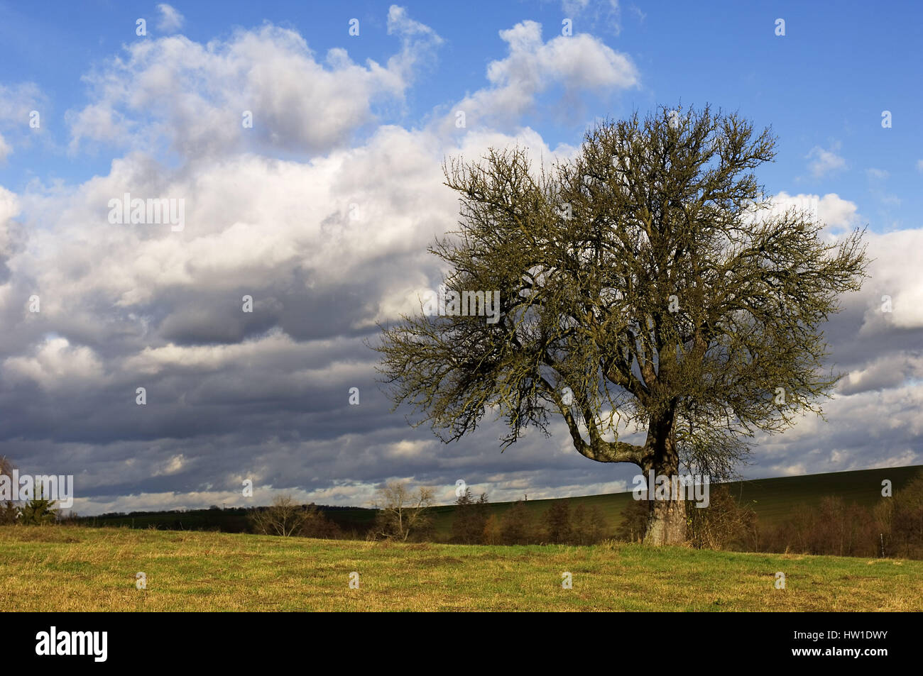 Rich colouring in autumn, Farbenpracht im Herbst Stock Photo - Alamy