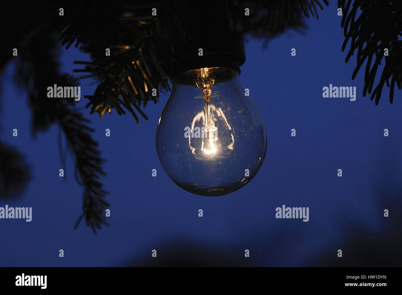 Light bulb, Glühbirne Stock Photo - Alamy