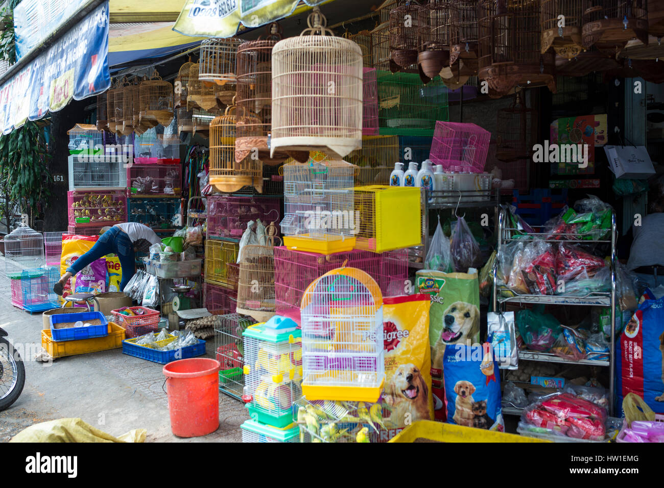 Saigon bird hi-res stock photography and images - Alamy
