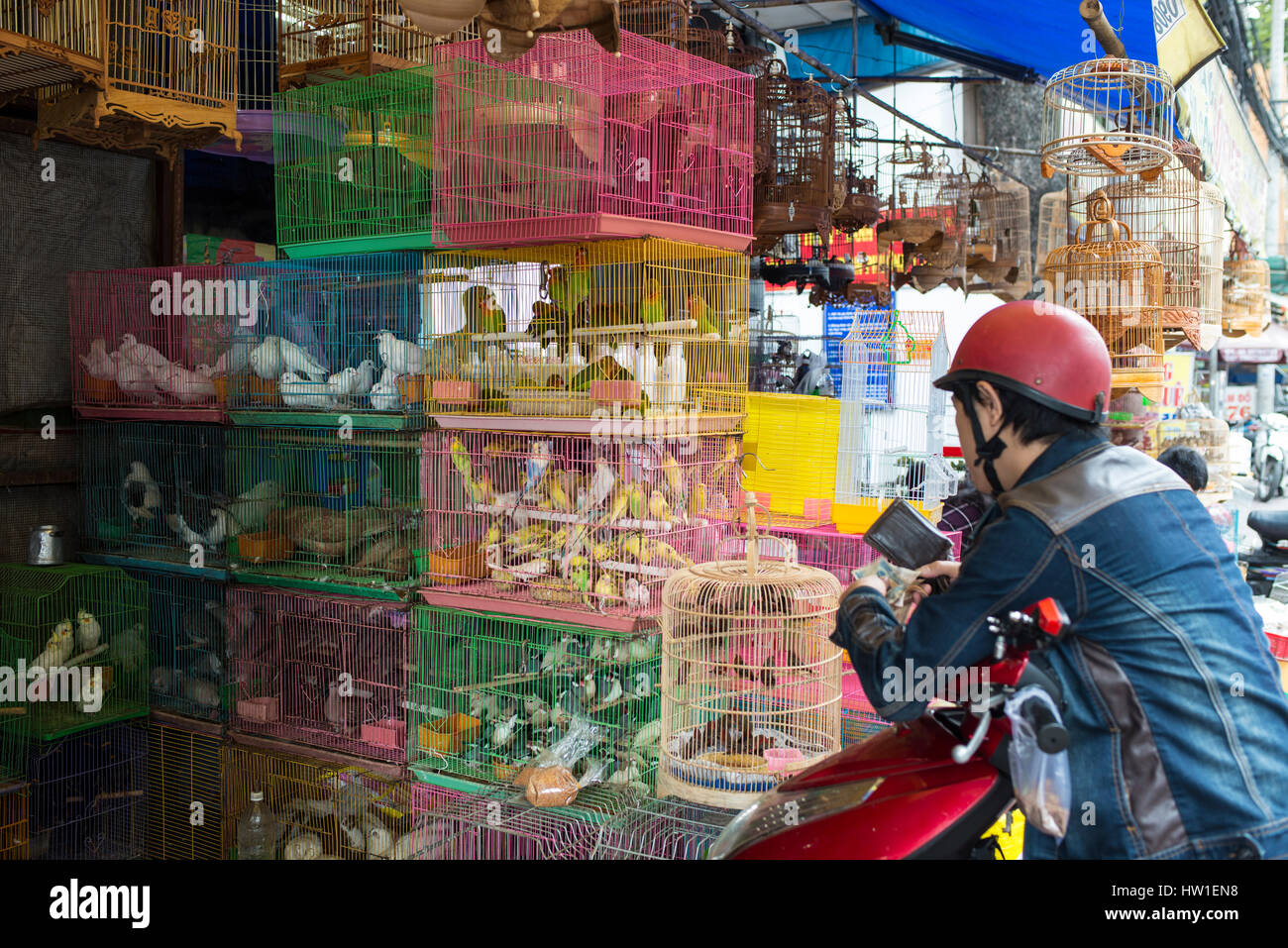 Vietnamese woman choosing a bird to buy, Saigon Stock Photo - Alamy