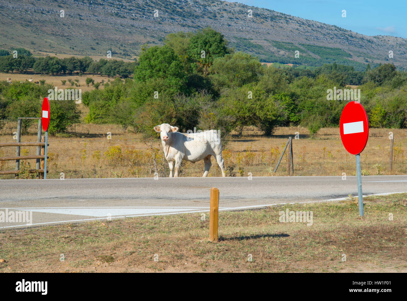 Direccion prohibida hi-res stock photography and images - Alamy