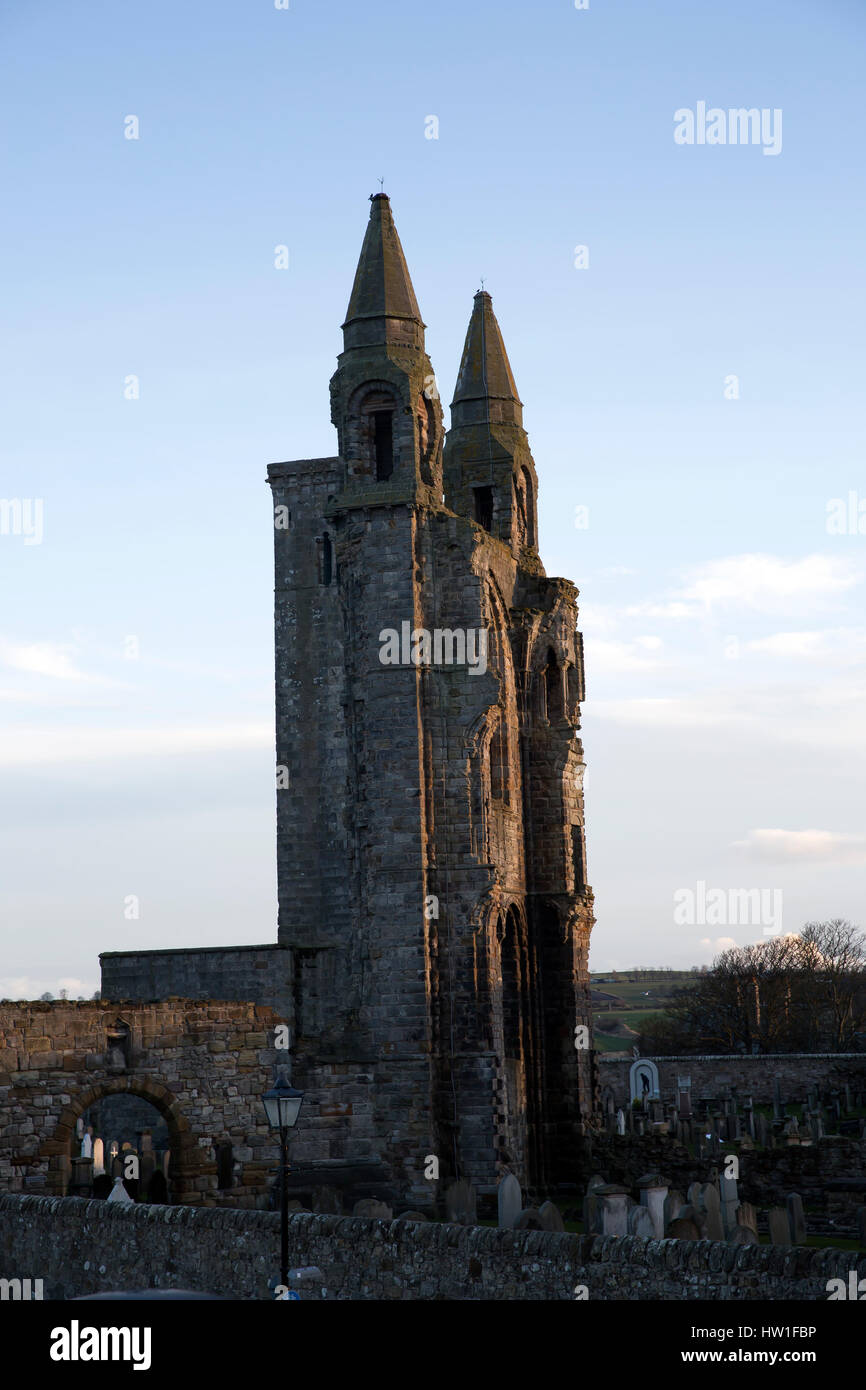 Castle ruins in Elie, Scotland Stock Photo - Alamy