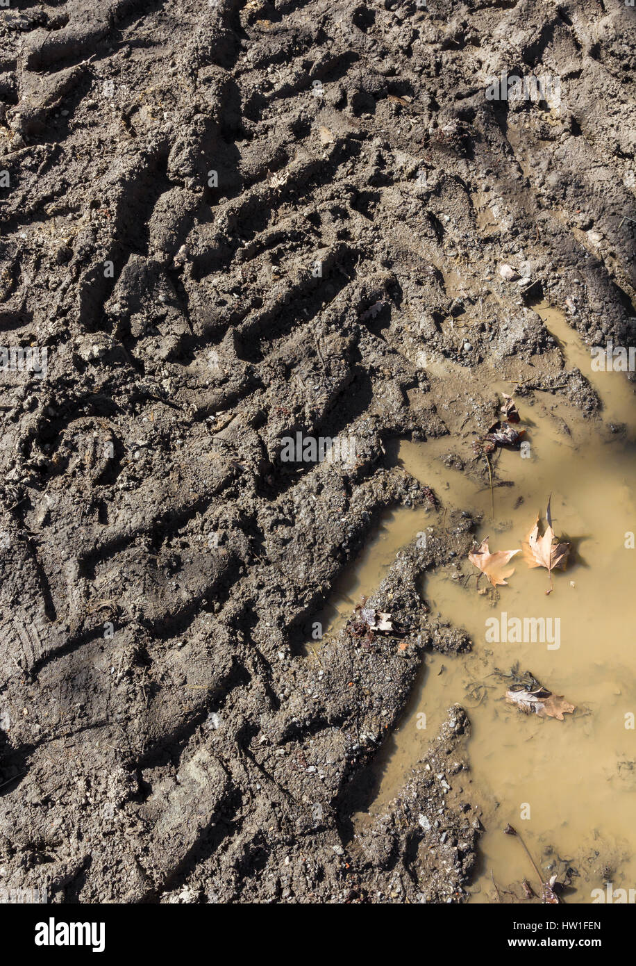 Texture Wet Brown Mud Car High Resolution Stock Photography and Images ...