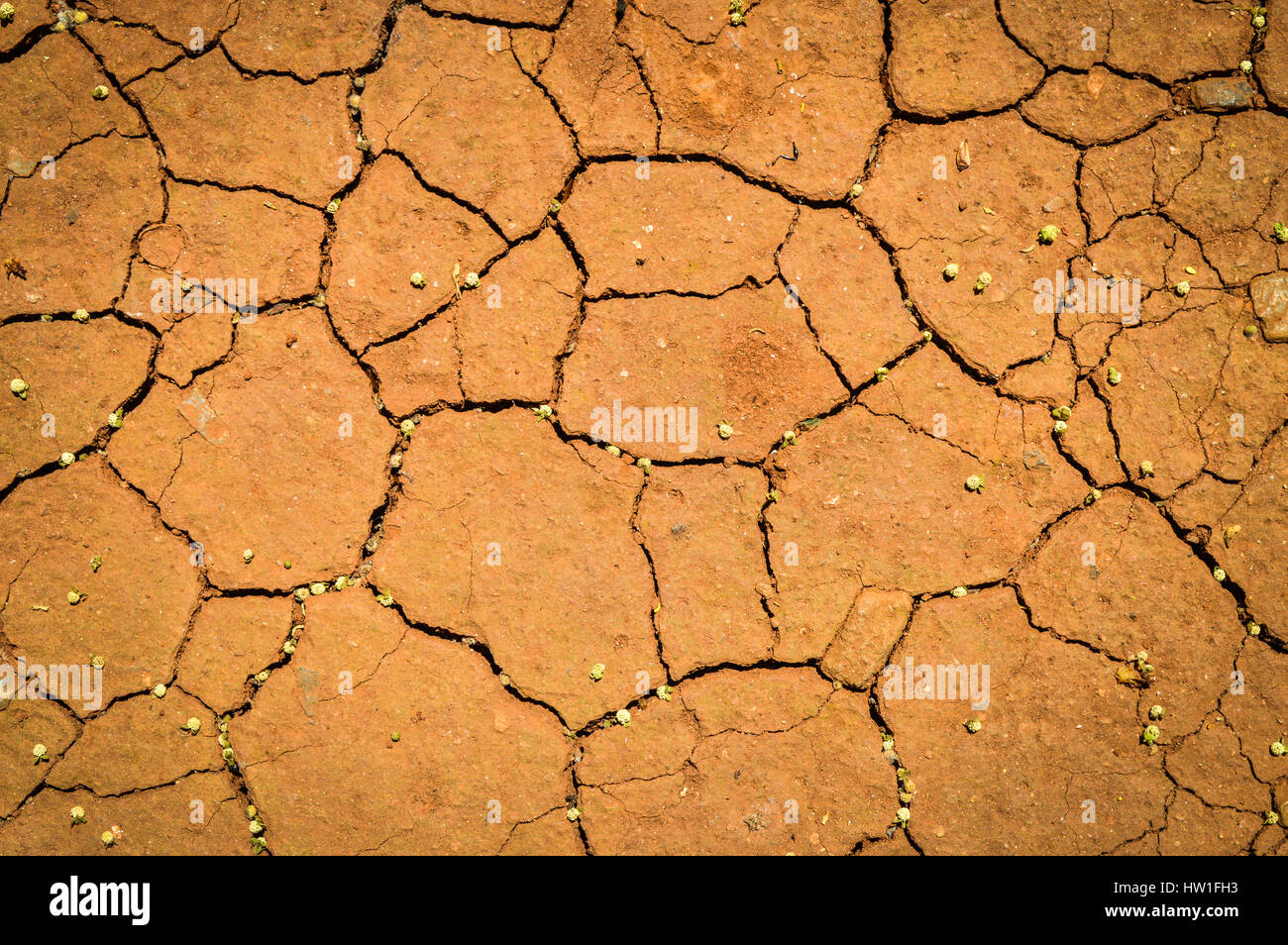 Dry cracked soil Stock Photo - Alamy