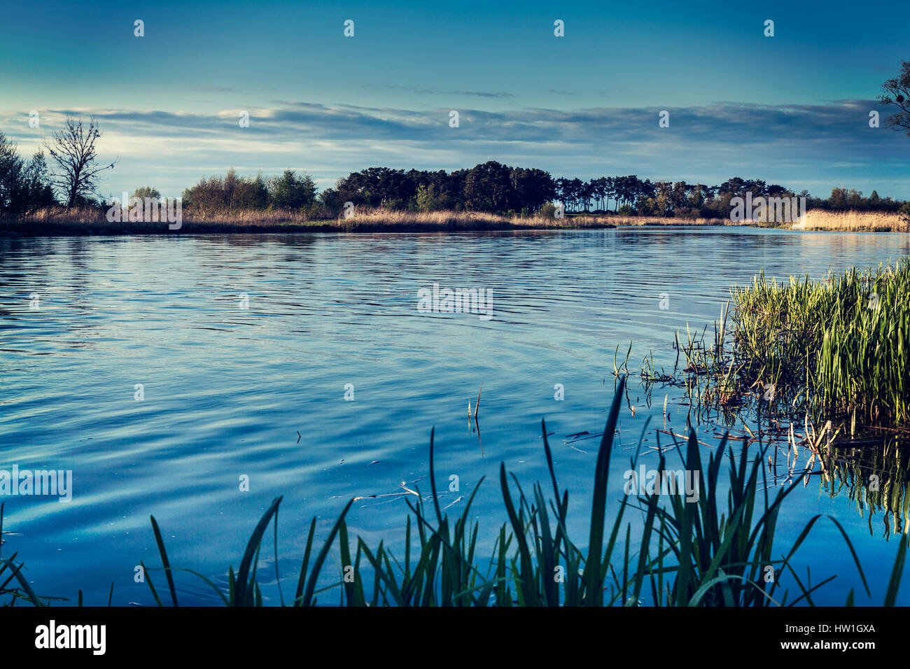Nogat green hi-res stock photography and images - Alamy