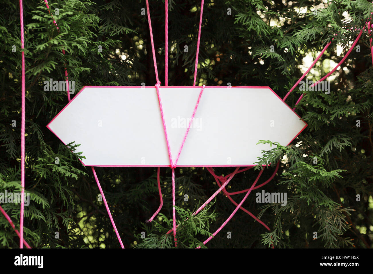 Empty arrow sign in the middle of fir branches Stock Photo - Alamy