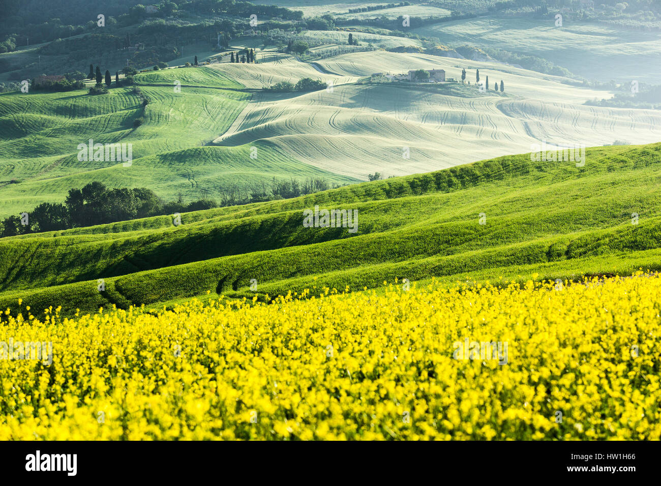 Spring landscape of fields Tuscany, Italy Stock Photo - Alamy