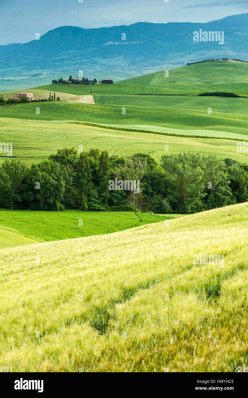 Spring landscape of fields Tuscany, Italy Stock Photo - Alamy