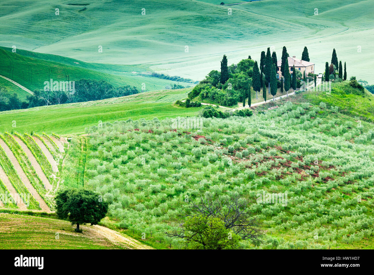 Spring landscape of fields Tuscany, Italy Stock Photo - Alamy