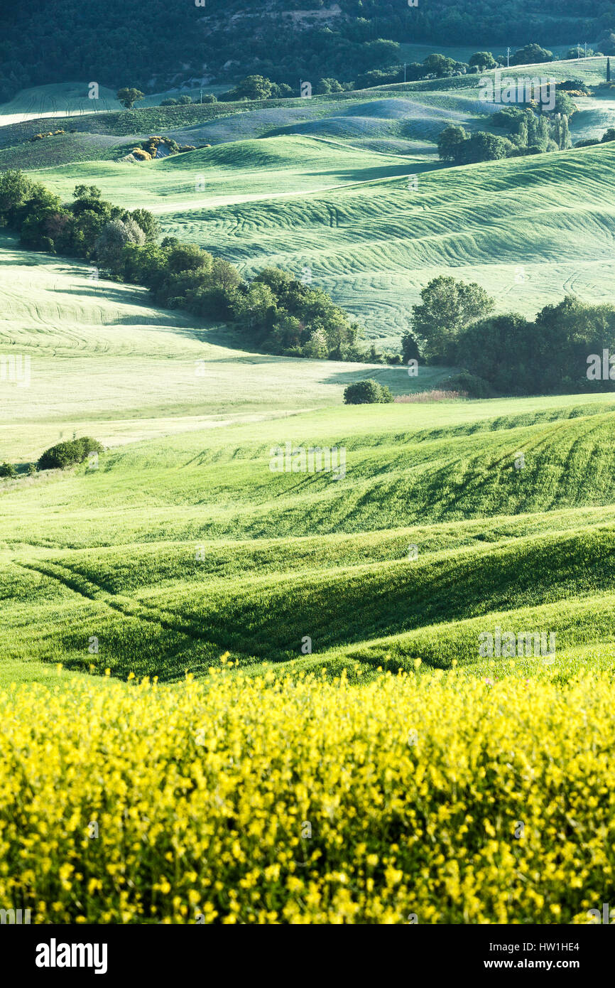 Spring landscape of fields Tuscany, Italy Stock Photo - Alamy