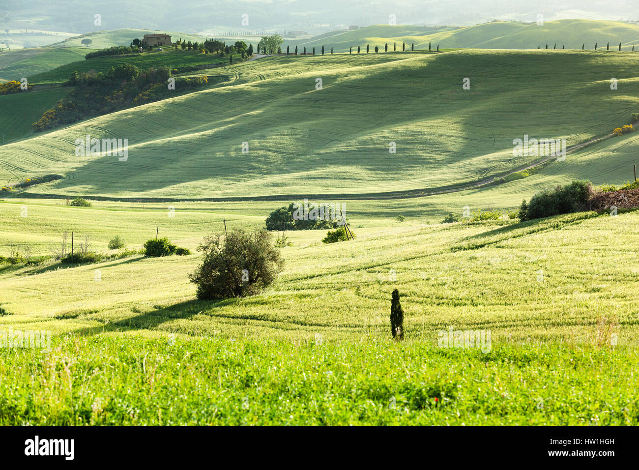 Spring hill italy hi-res stock photography and images - Alamy