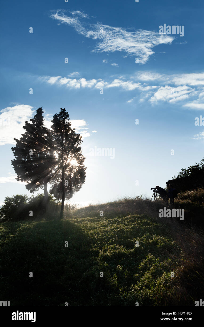 Photographer making photo of amazing sunset light near trees Stock ...
