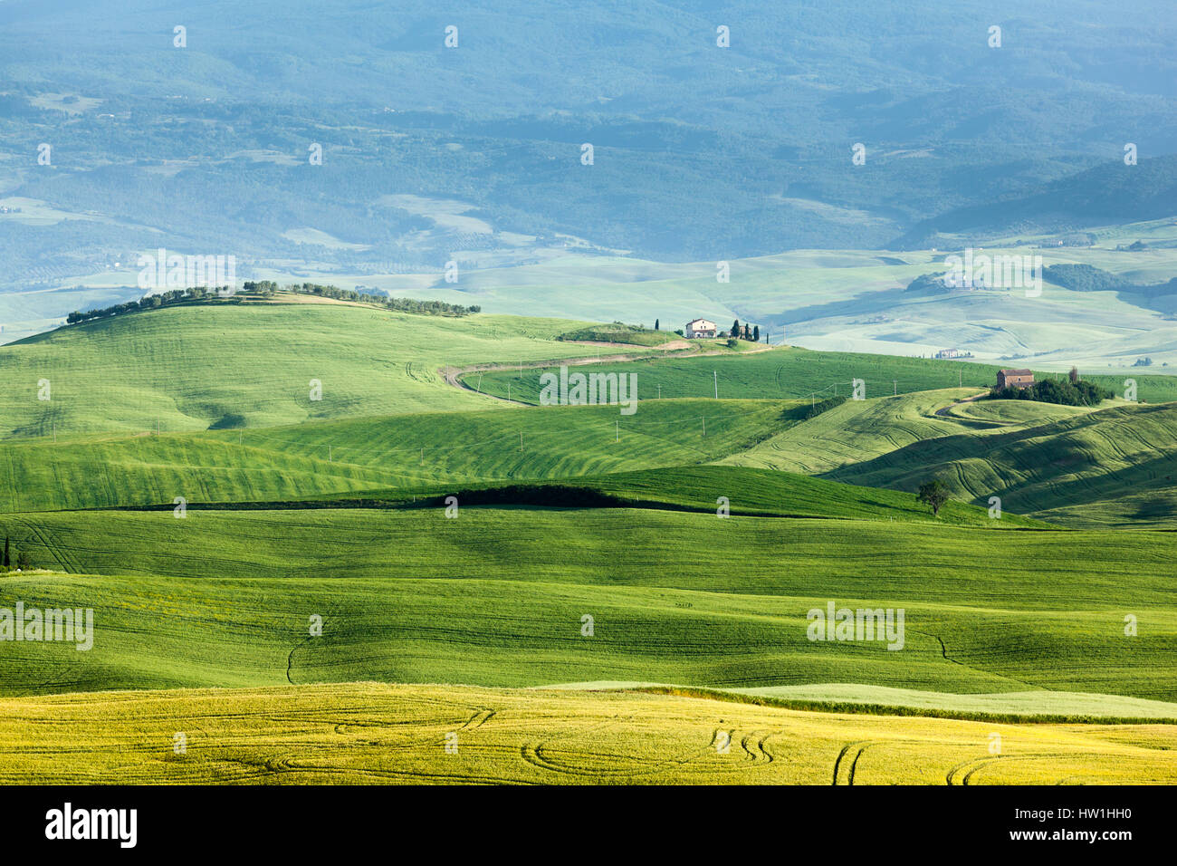 Spring landscape of fields Tuscany, Italy Stock Photo - Alamy