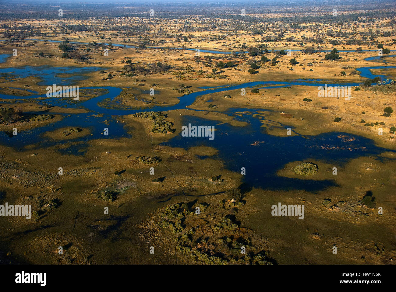 Aerial view of the Okavango Swamp, Botswana Stock Photo - Alamy