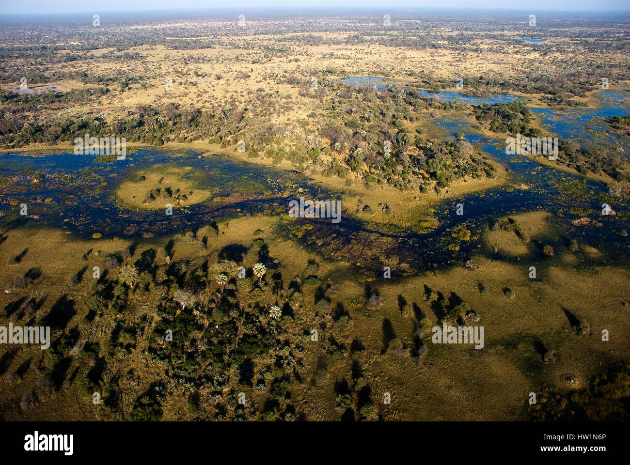 Aerial view of the Okavango Swamp, Botswana Stock Photo - Alamy