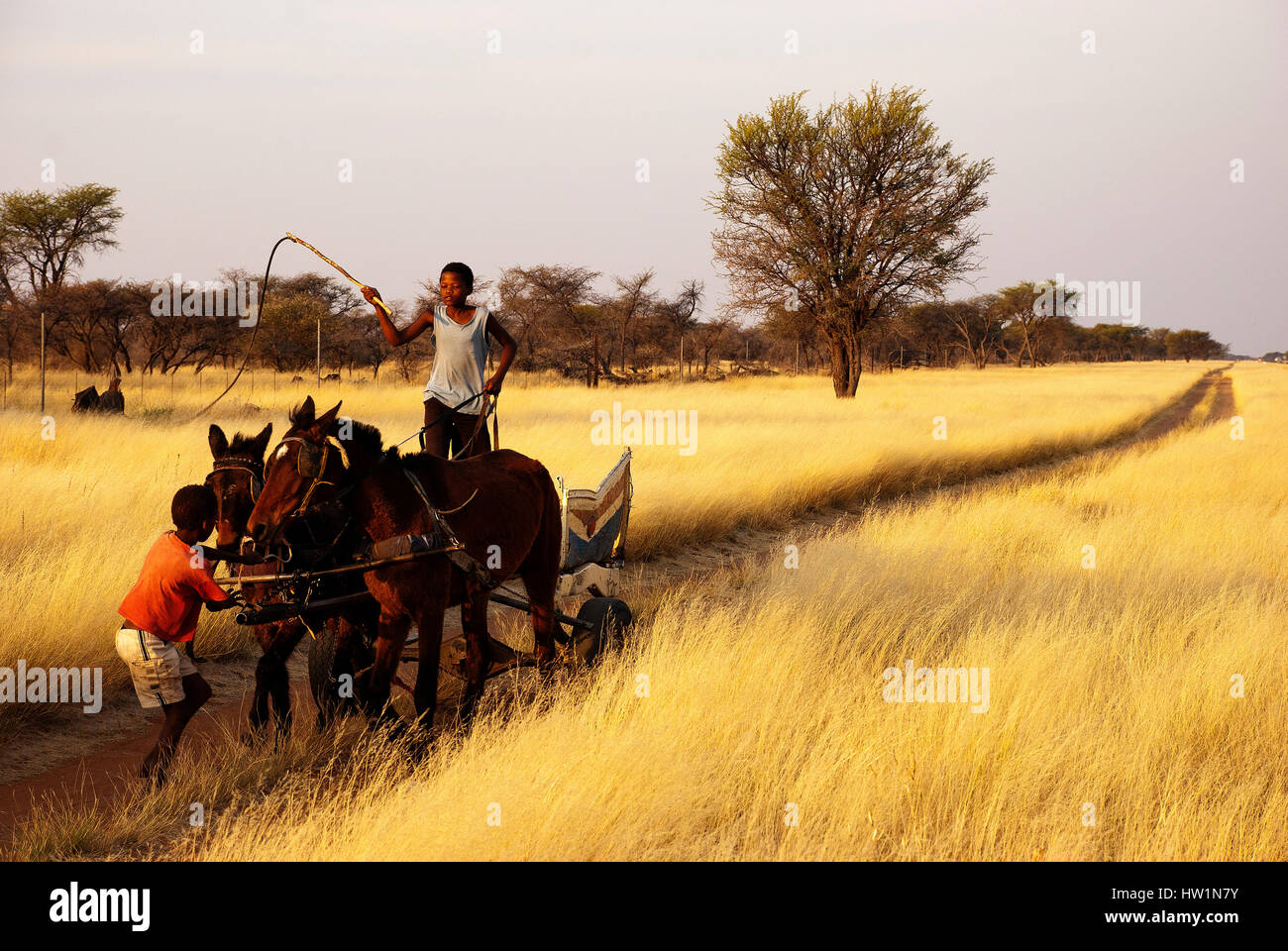 African cart hi-res stock photography and images - Alamy
