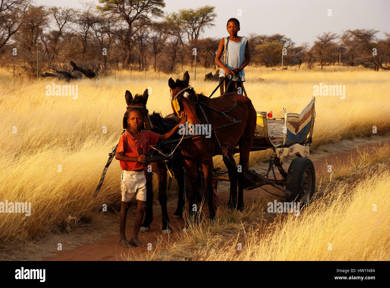 African old cart hi-res stock photography and images - Alamy