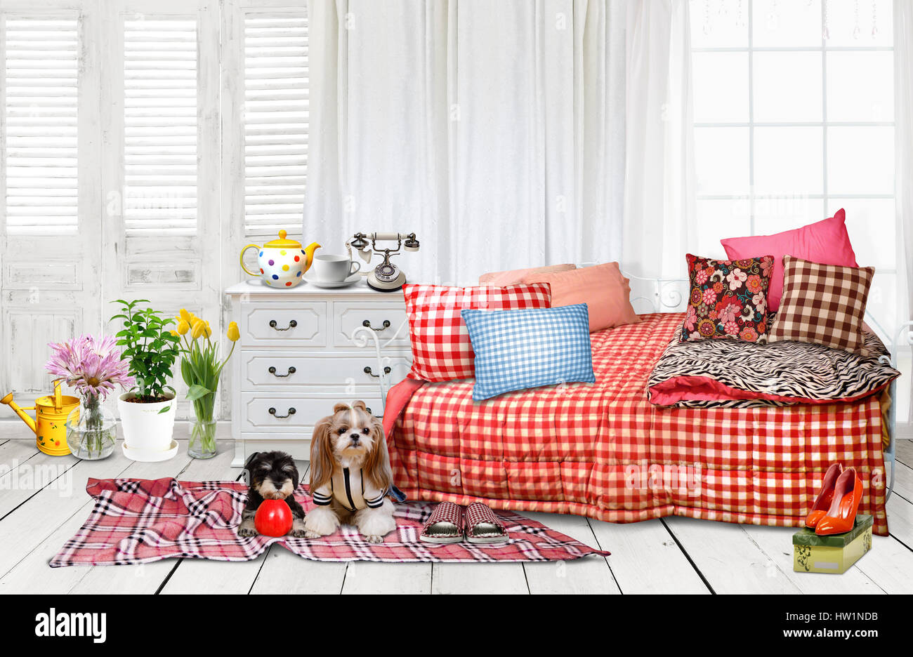 House freshman hi-res stock photography and images - Alamy