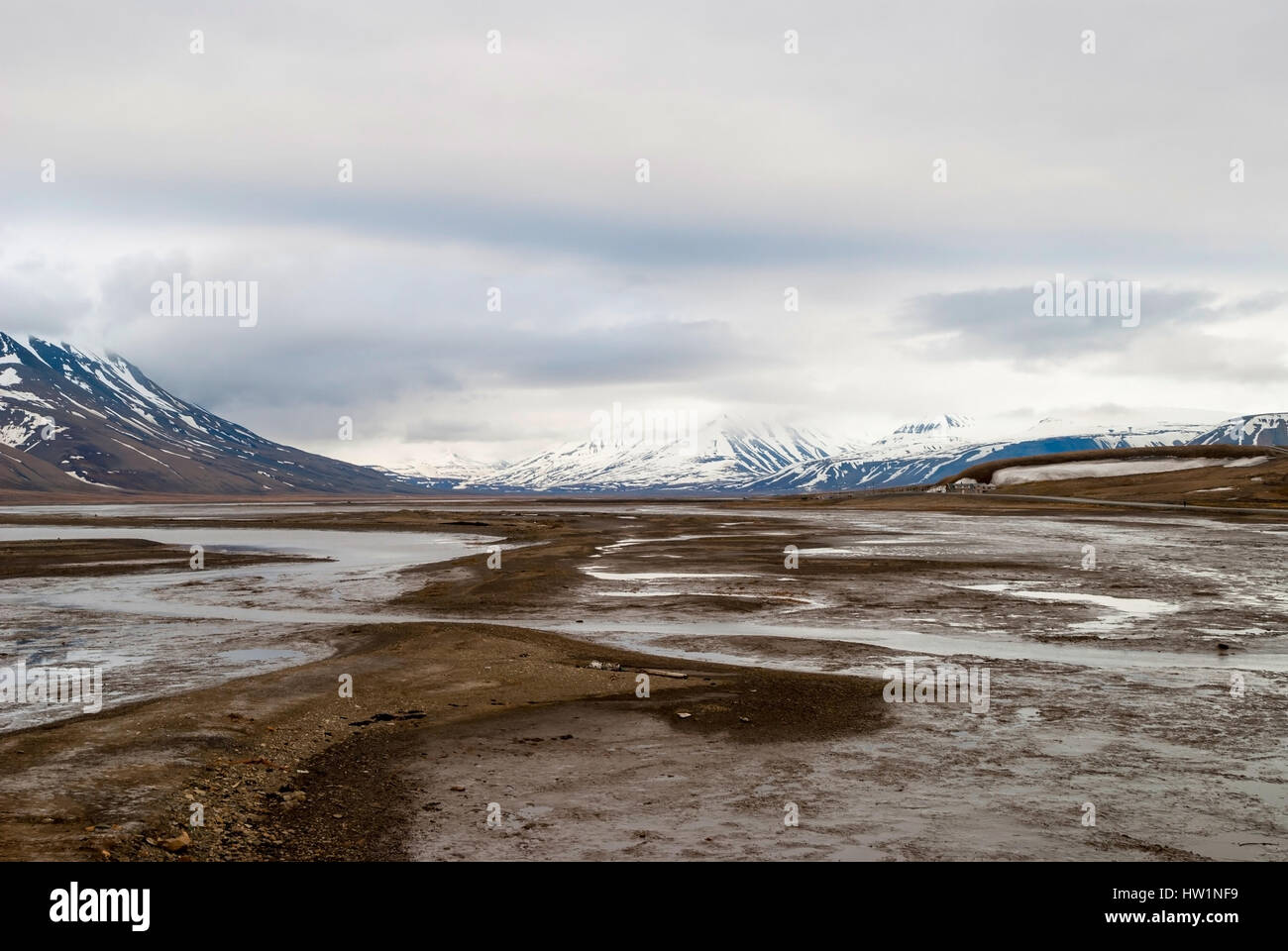 Arctic Tundra Landscape In Summer Beautiful Yet Unnerving Photos Of