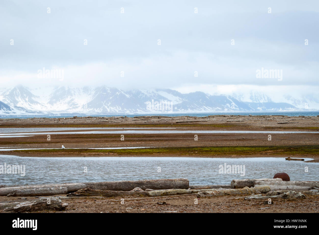Tundra Winter And Summer