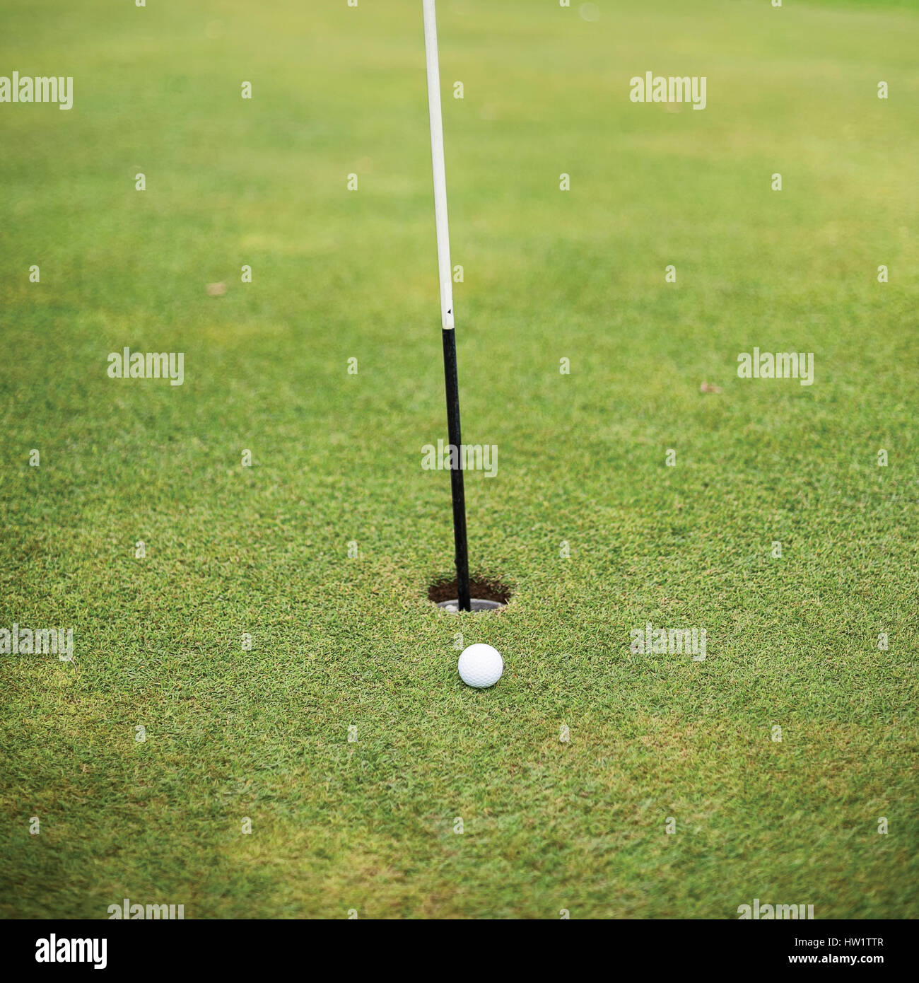 Golf hole and ball hi-res stock photography and images - Alamy