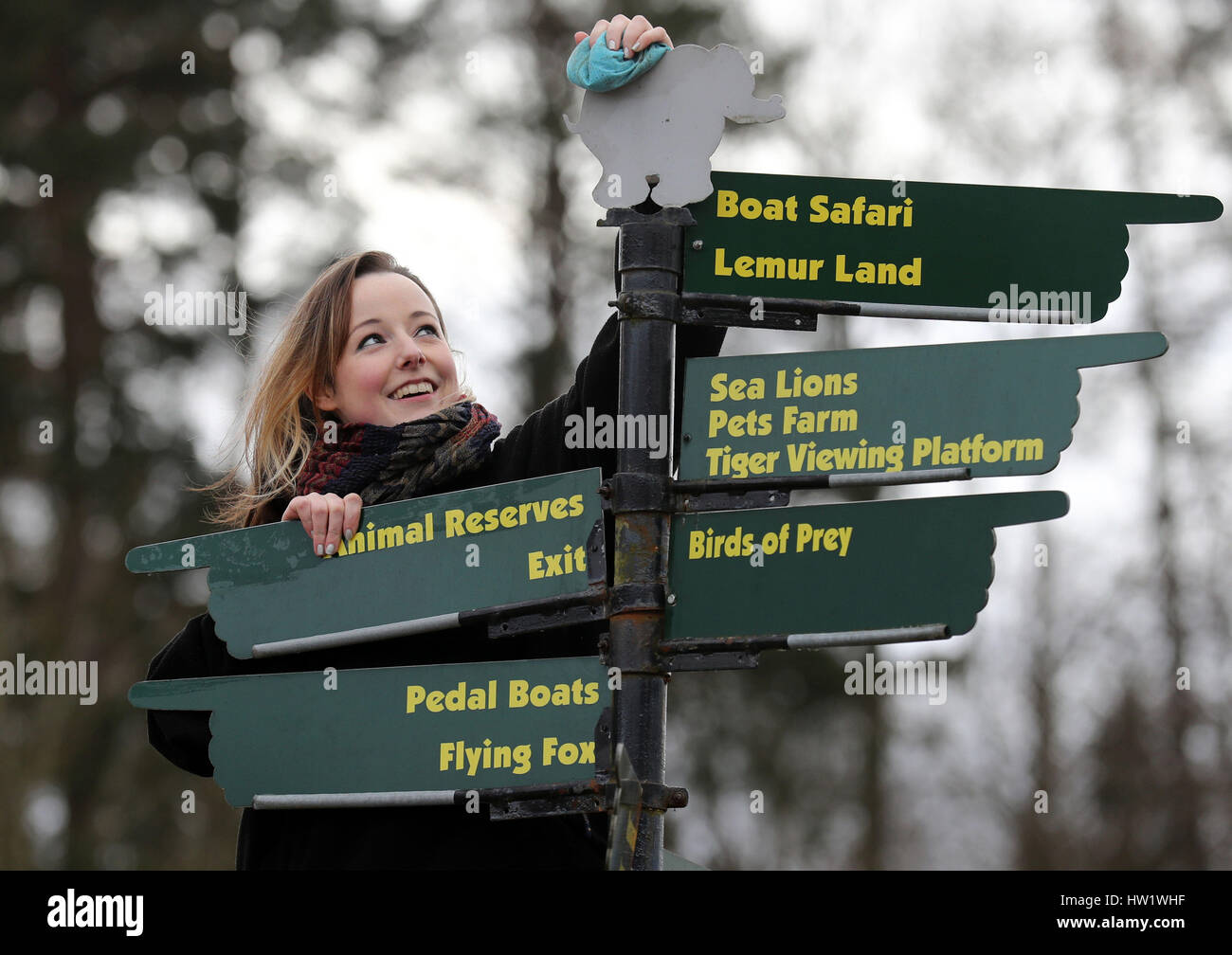 Victoria Hann cleans signs as staff at Blair Drummond Safari Park near ...