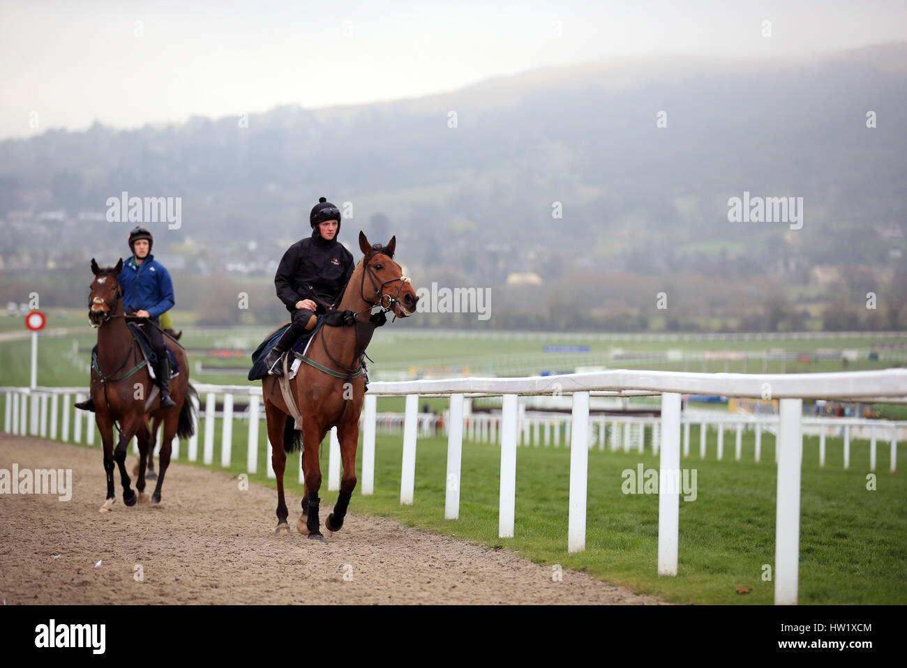 Horse make way to gallops cheltenham racecourse hi-res stock ...