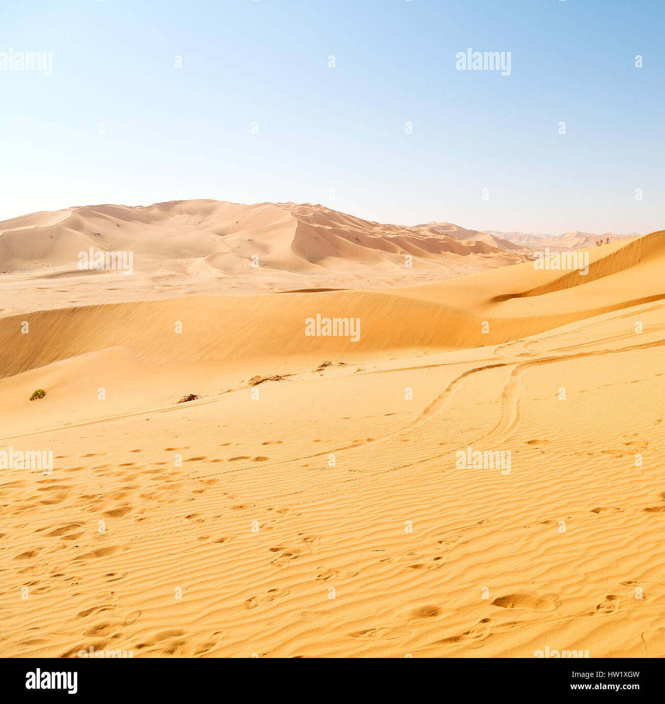 the empty quarter and outdoor sand dune in oman old desert rub al khali ...