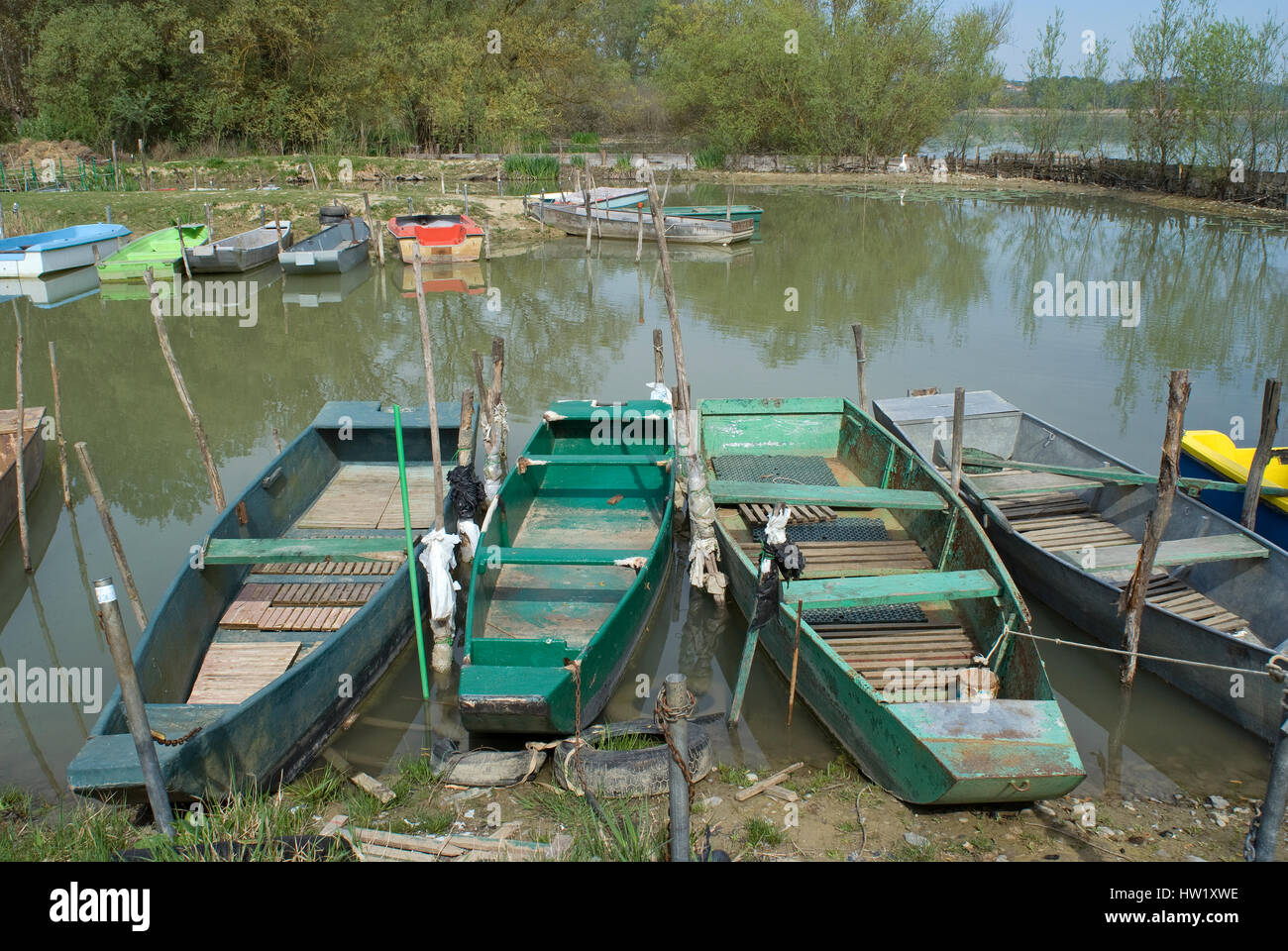 Typical fishing boats at Chiusi lake, Tuscany, Italy Stock Photo - Alamy
