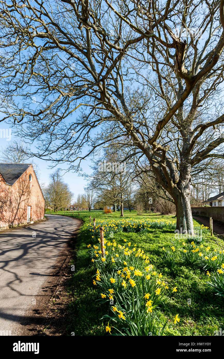 View around the village green at Aston Rowant, a small village near ...