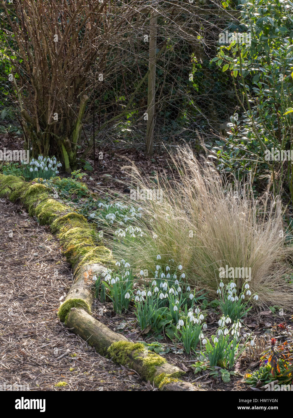 Bark path hi-res stock photography and images - Alamy