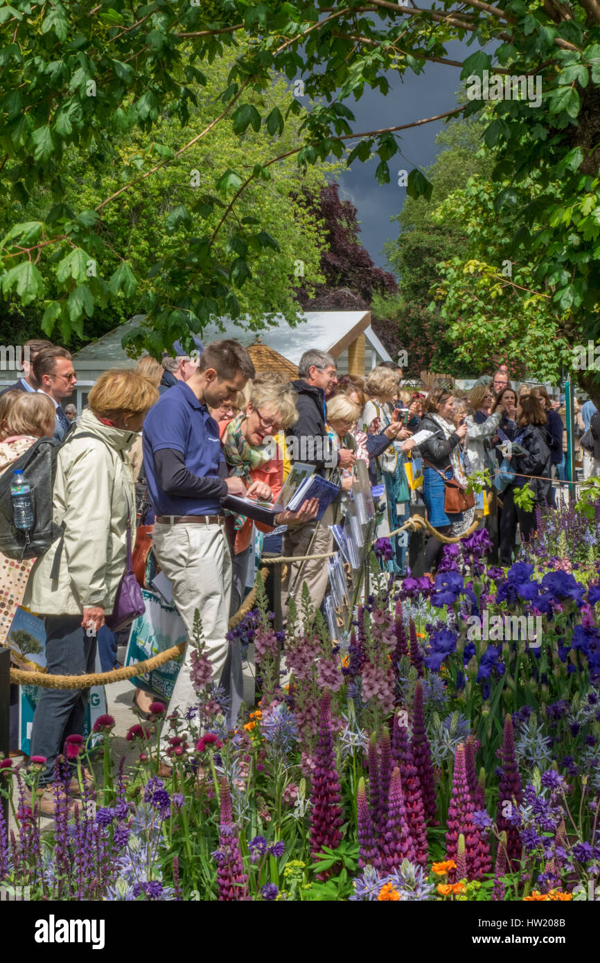 rhs chelsea flower show Stock Photo - Alamy