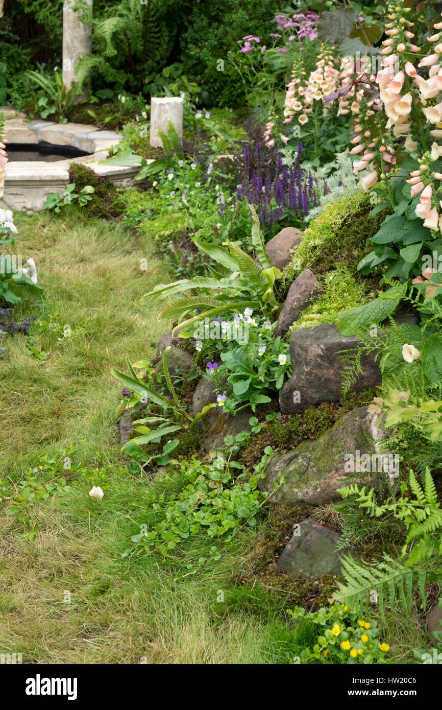 RHS Tatton flower show Stock Photo - Alamy