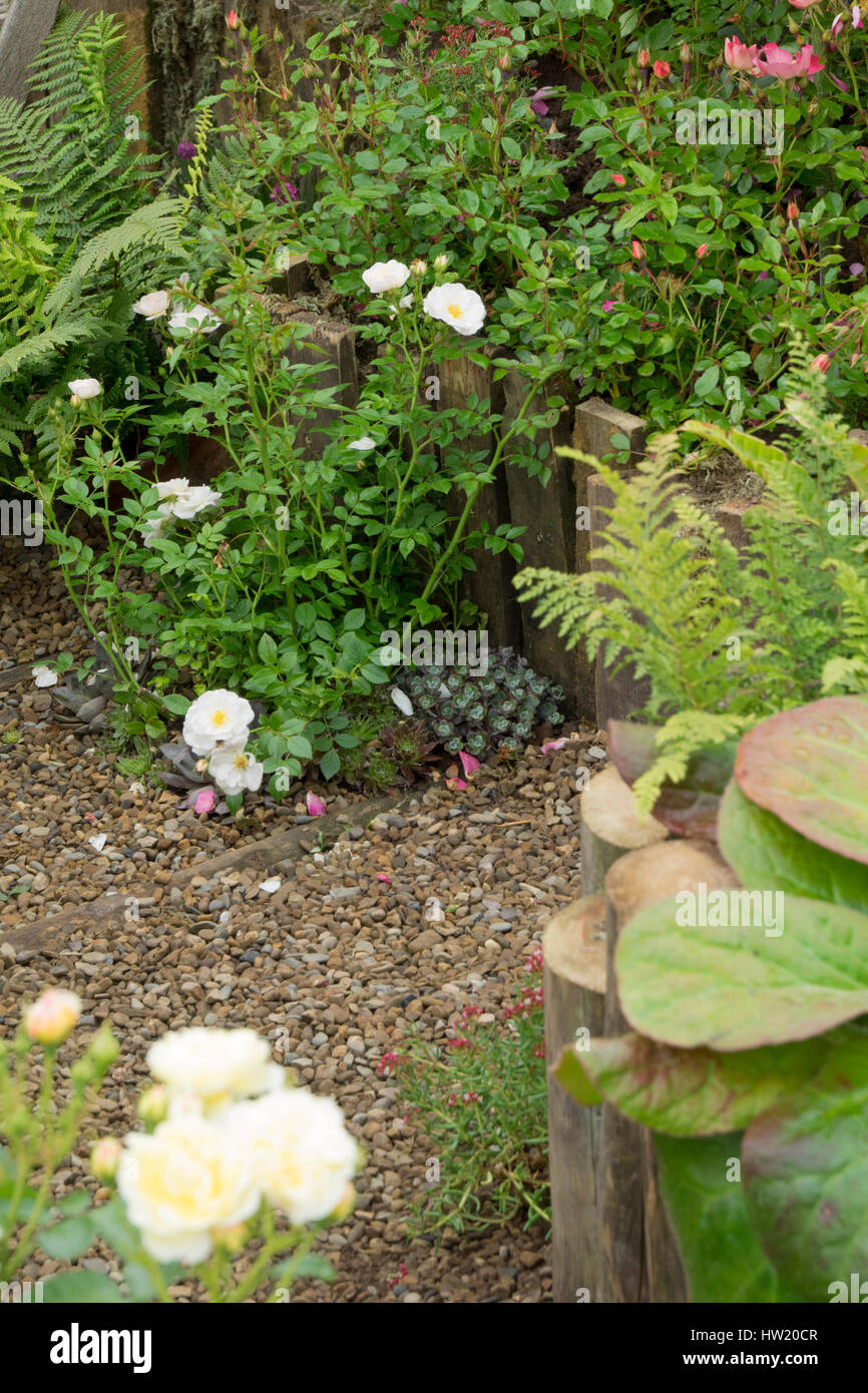 RHS Tatton flower show Stock Photo - Alamy