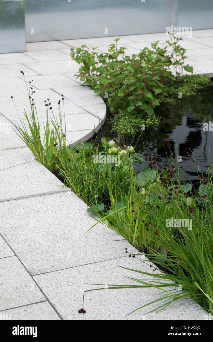 RHS Tatton flower show Stock Photo - Alamy