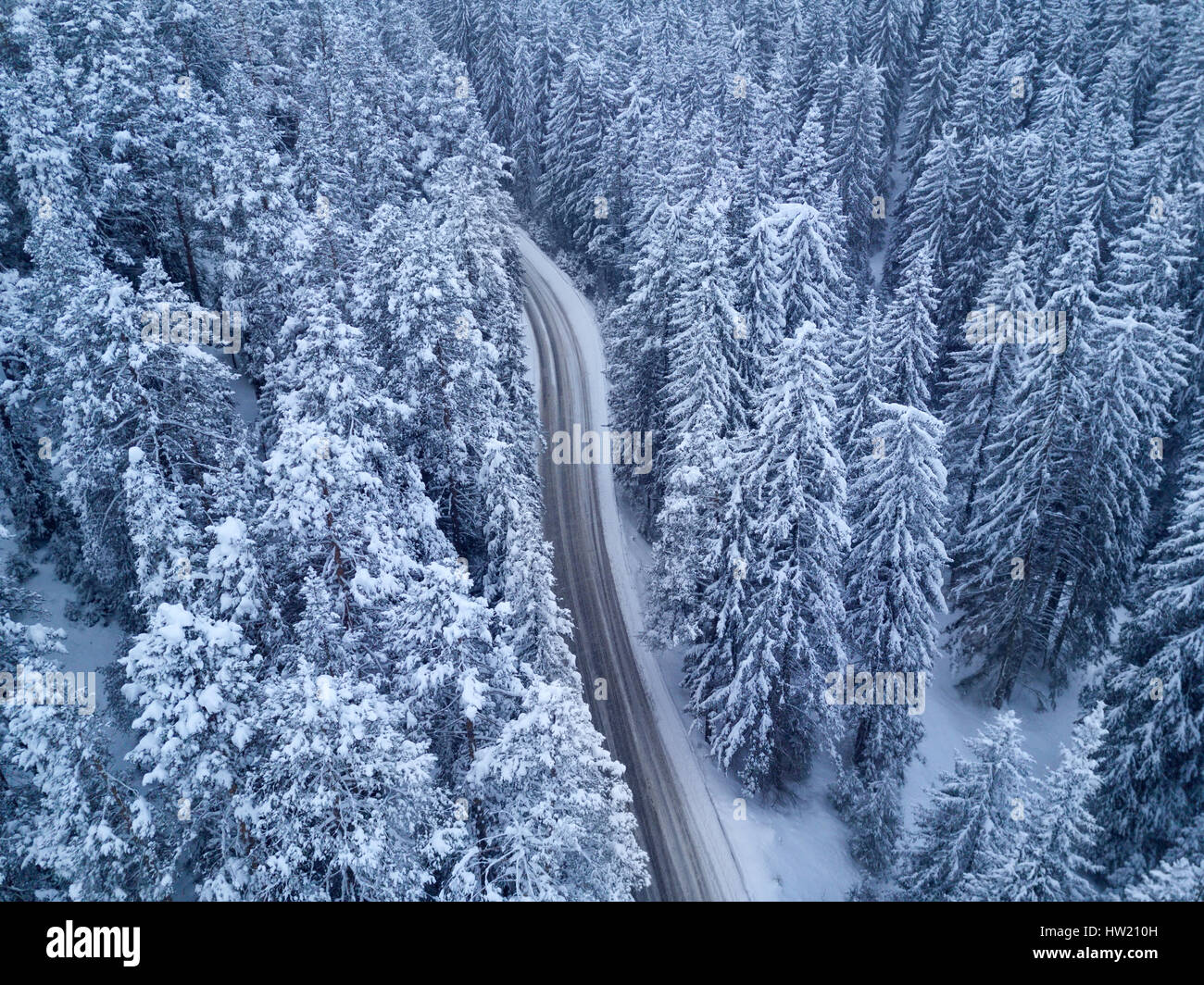 bird's eye view on road in snowy winter forest Stock Photo - Alamy