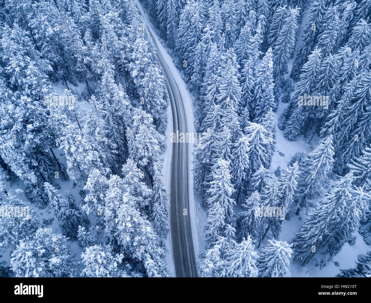 Top view of winter forest and Road at night Stock Photo - Alamy