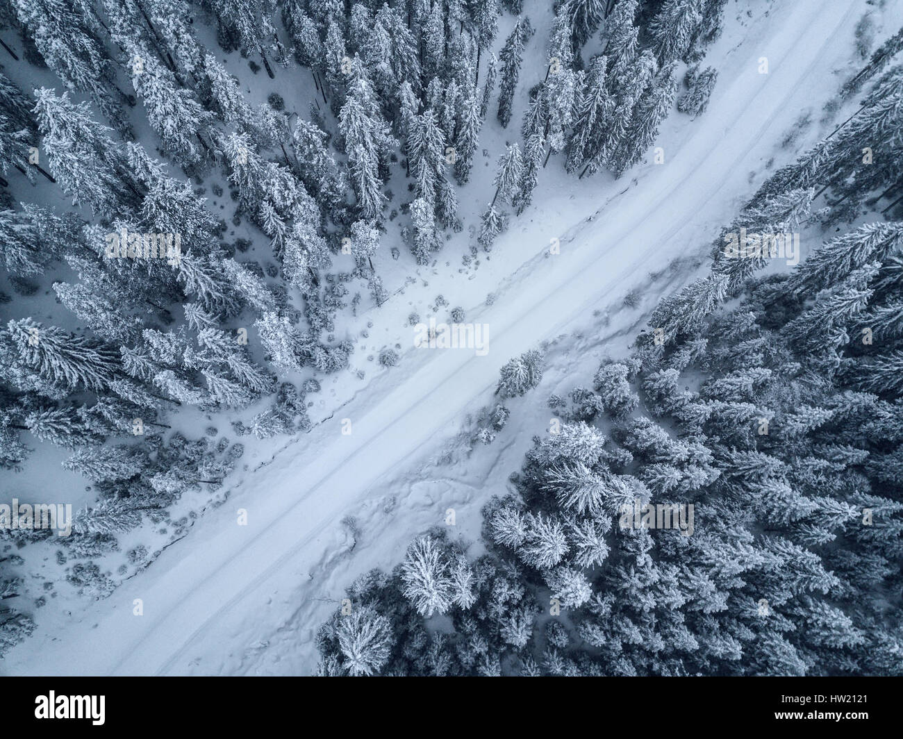 aerial view of forest covered with snow ,bird’s eye view Stock Photo ...
